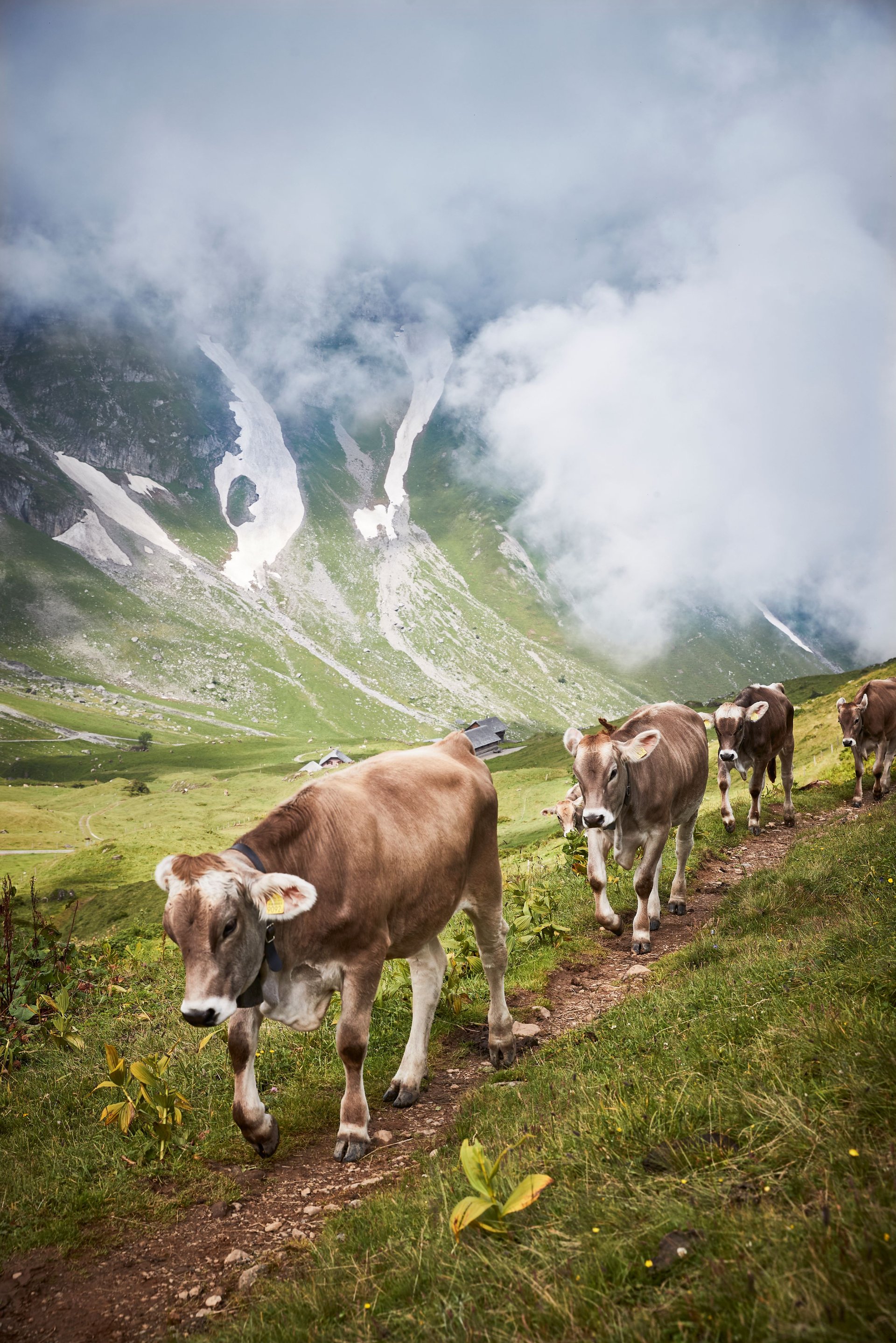 Engelberg, Switzerland Review | Kempinski Hotels